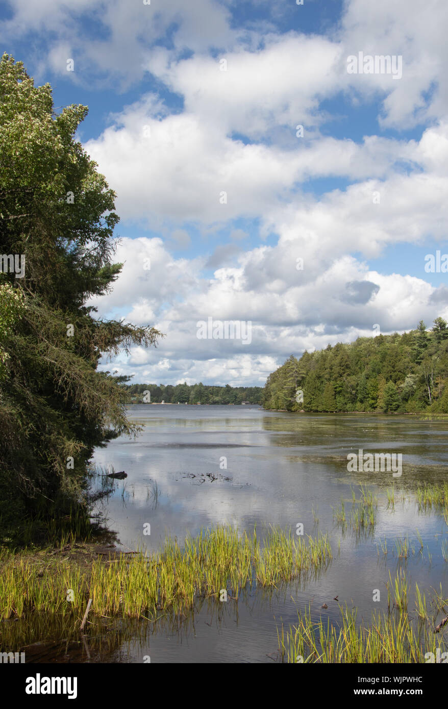 Baysville ontario hi-res stock photography and images - Alamy