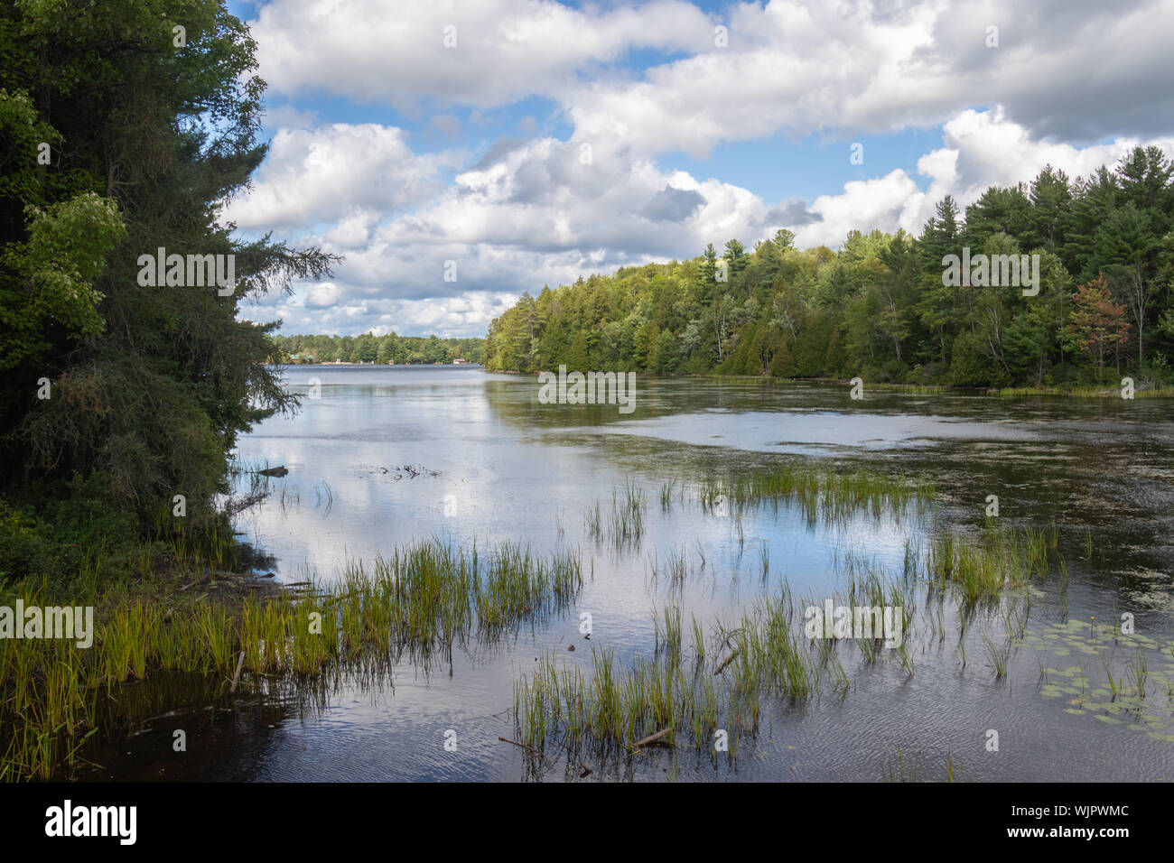 Lake of bays, canada hi-res stock photography and images - Alamy