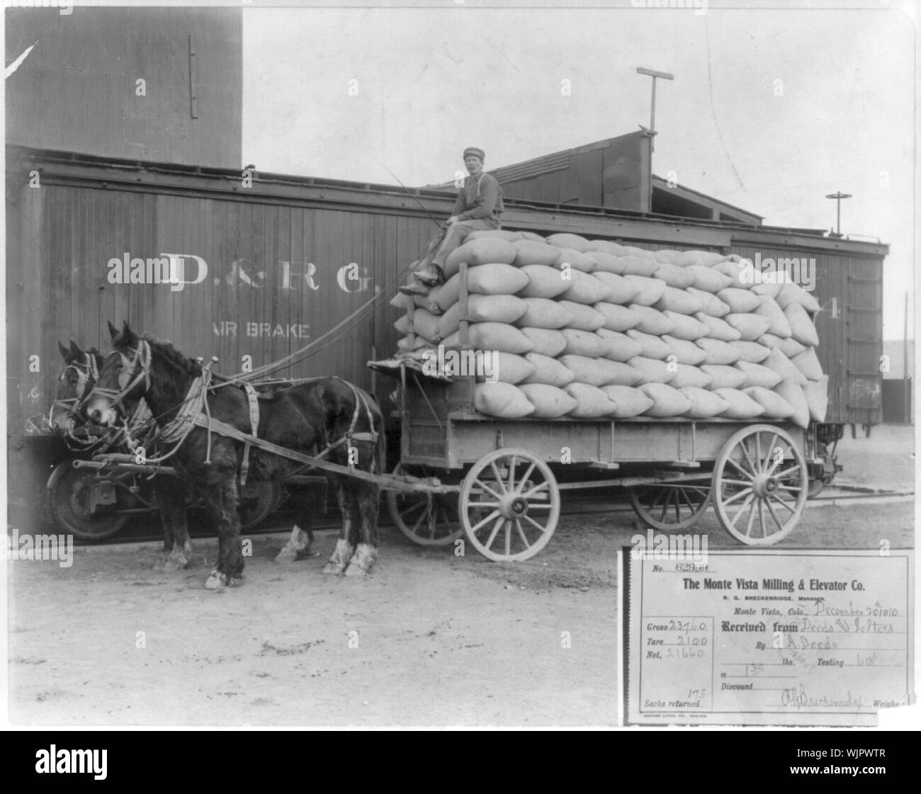 Horse drawn freight wagon hi-res stock photography and images - Alamy