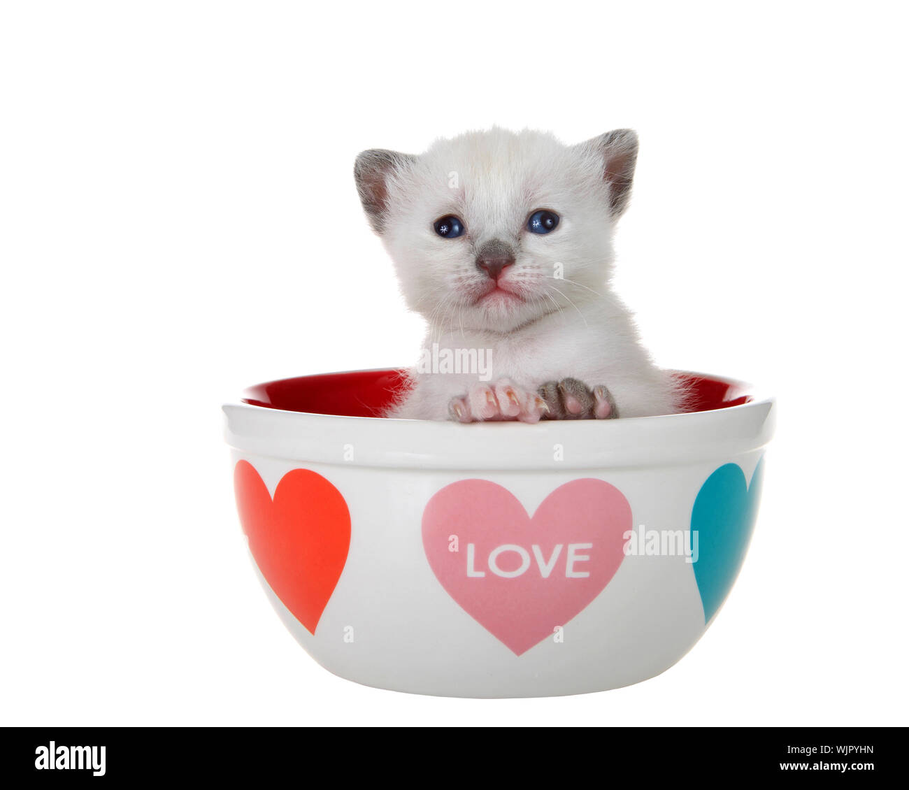 Strabismus baby hi-res stock photography and images - Alamy