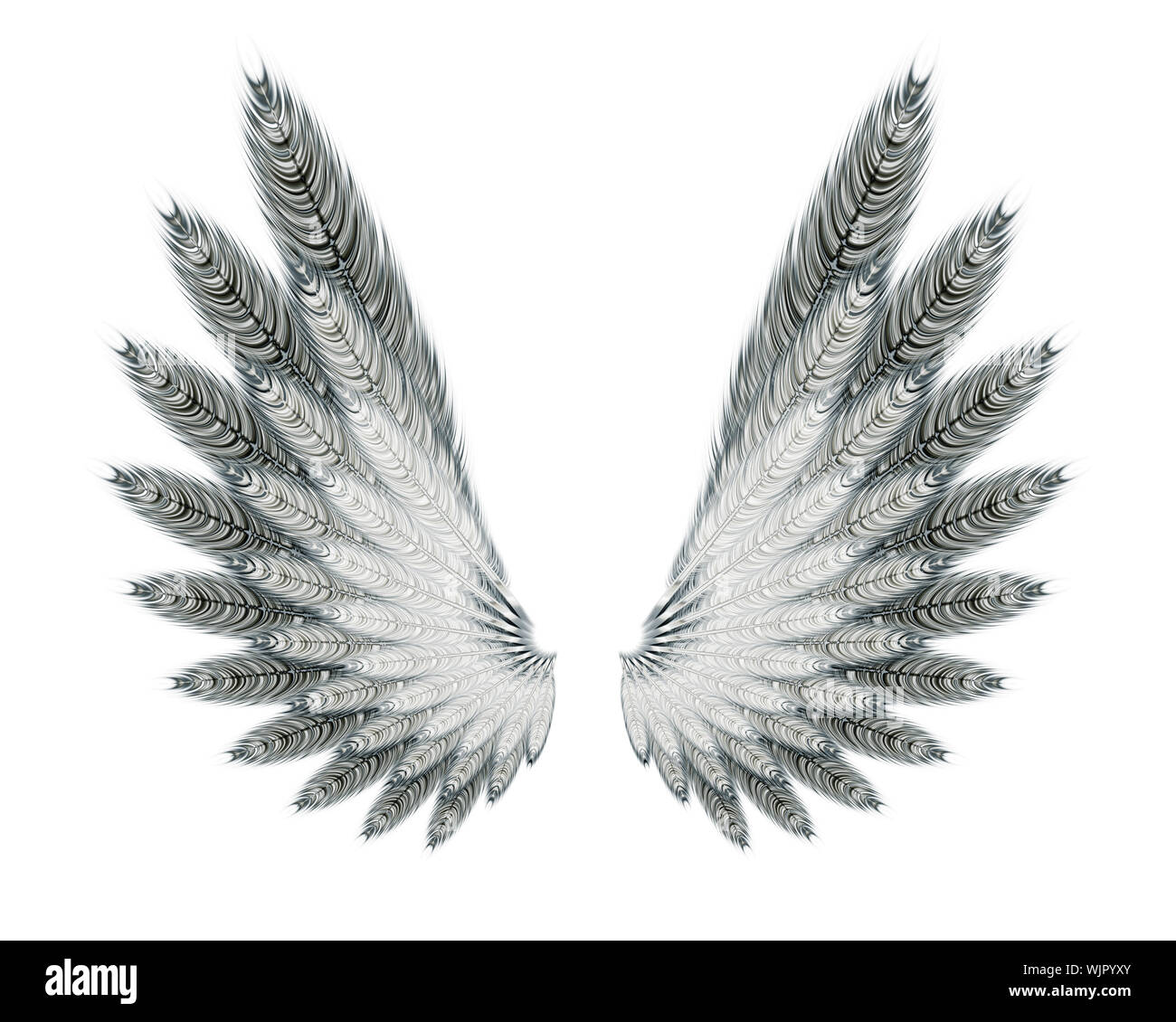 An image of some beautiful feather wings Stock Photo - Alamy