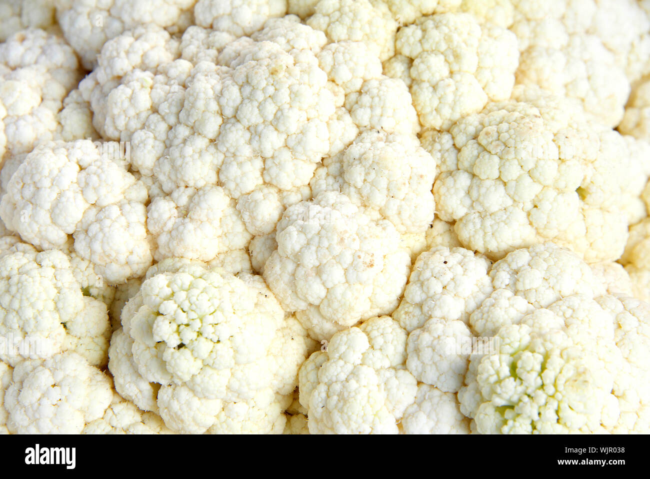 Flat lay vegetables full frame hi-res stock photography and images - Alamy