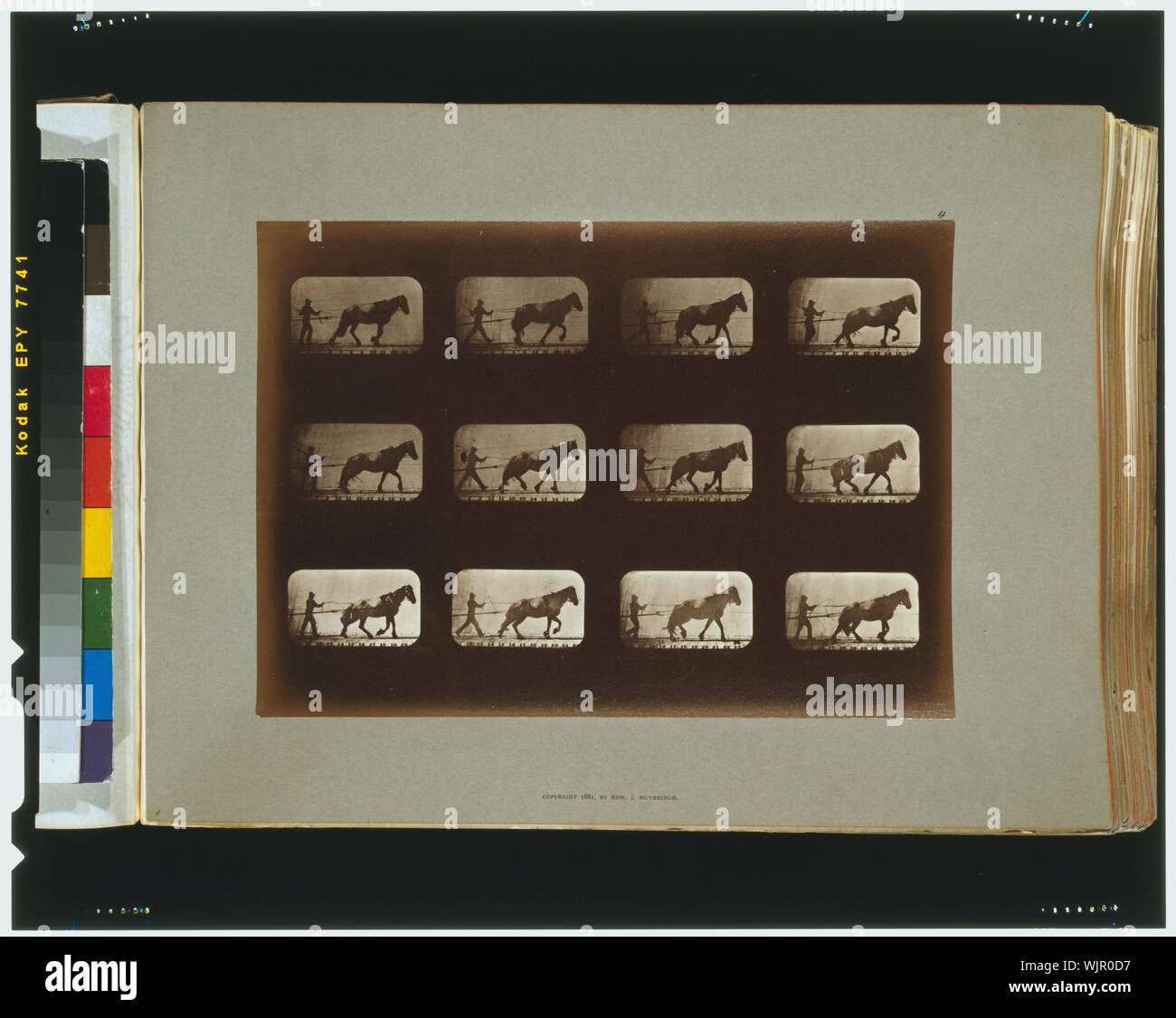 Horses hauling hi-res stock photography and images - Alamy