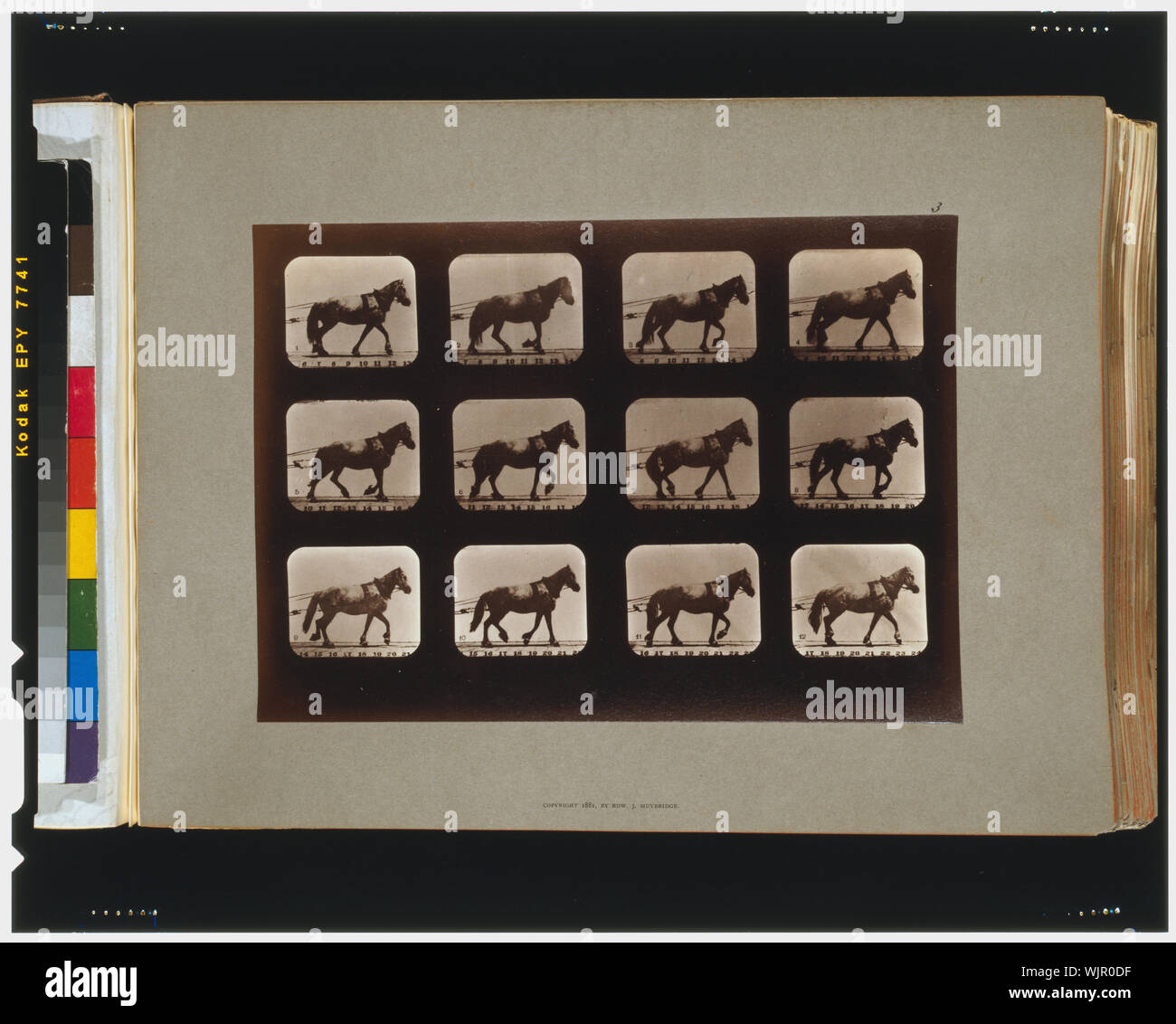 Horses hauling hi-res stock photography and images - Alamy