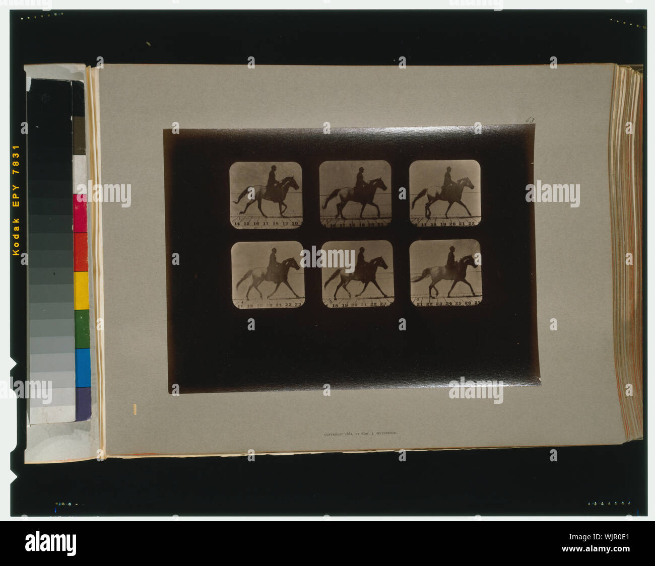 Irregular characteristics hi-res stock photography and images - Alamy