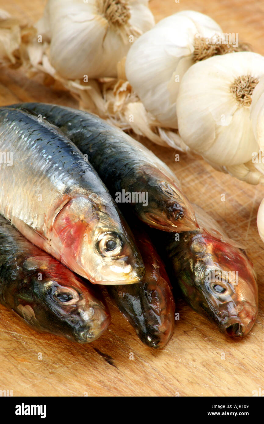 some fresh organic sardine on a timber board Stock Photo - Alamy