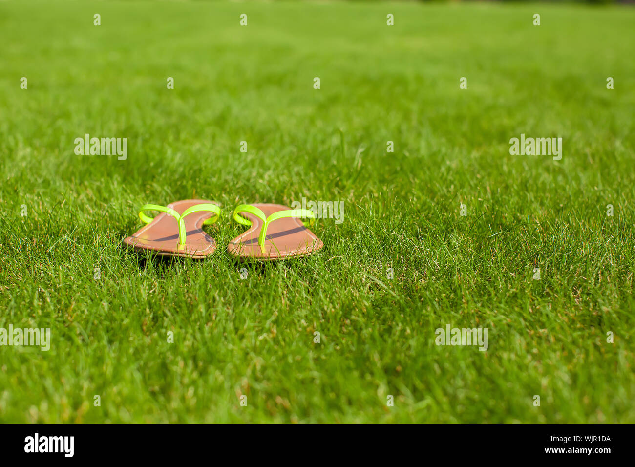Feet flip flops on grass hi-res stock photography and images - Alamy
