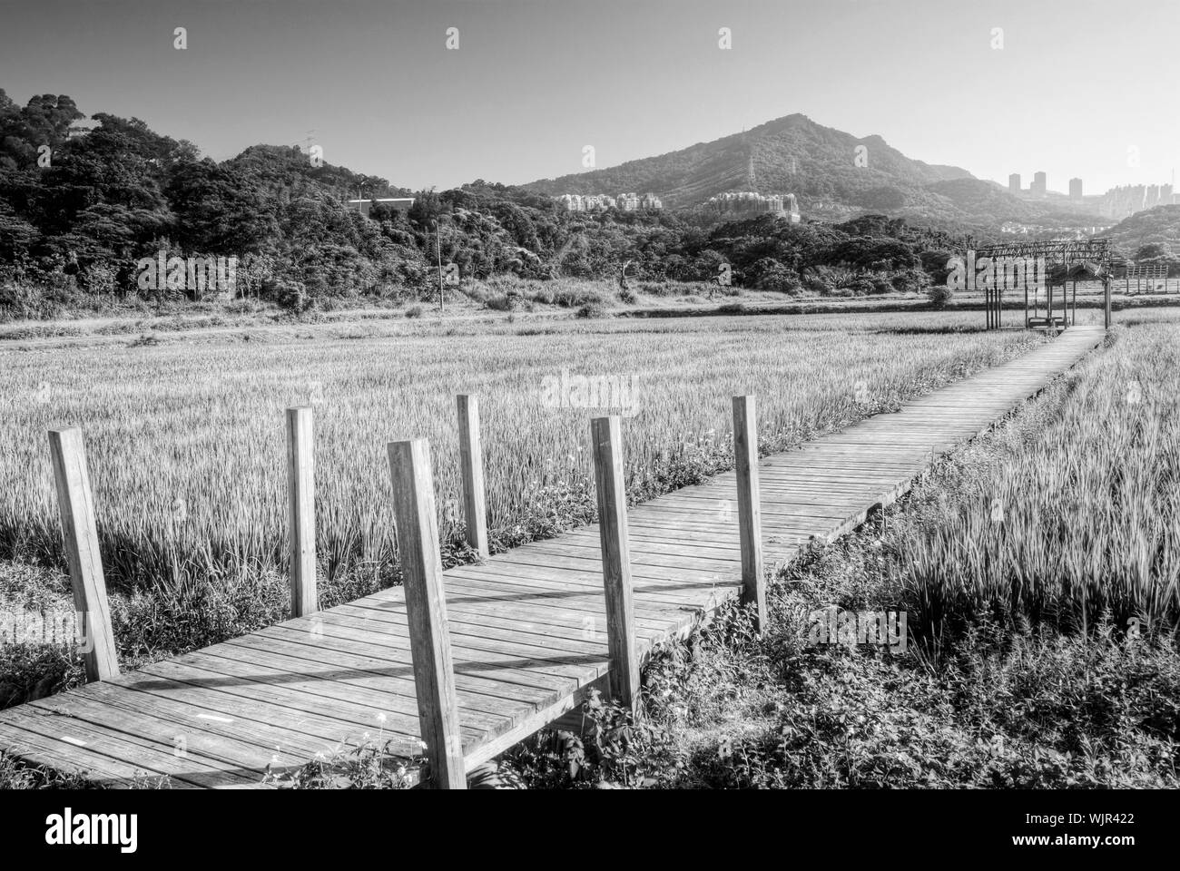 Small town farm in Black and White Stock Photos & Images - Alamy