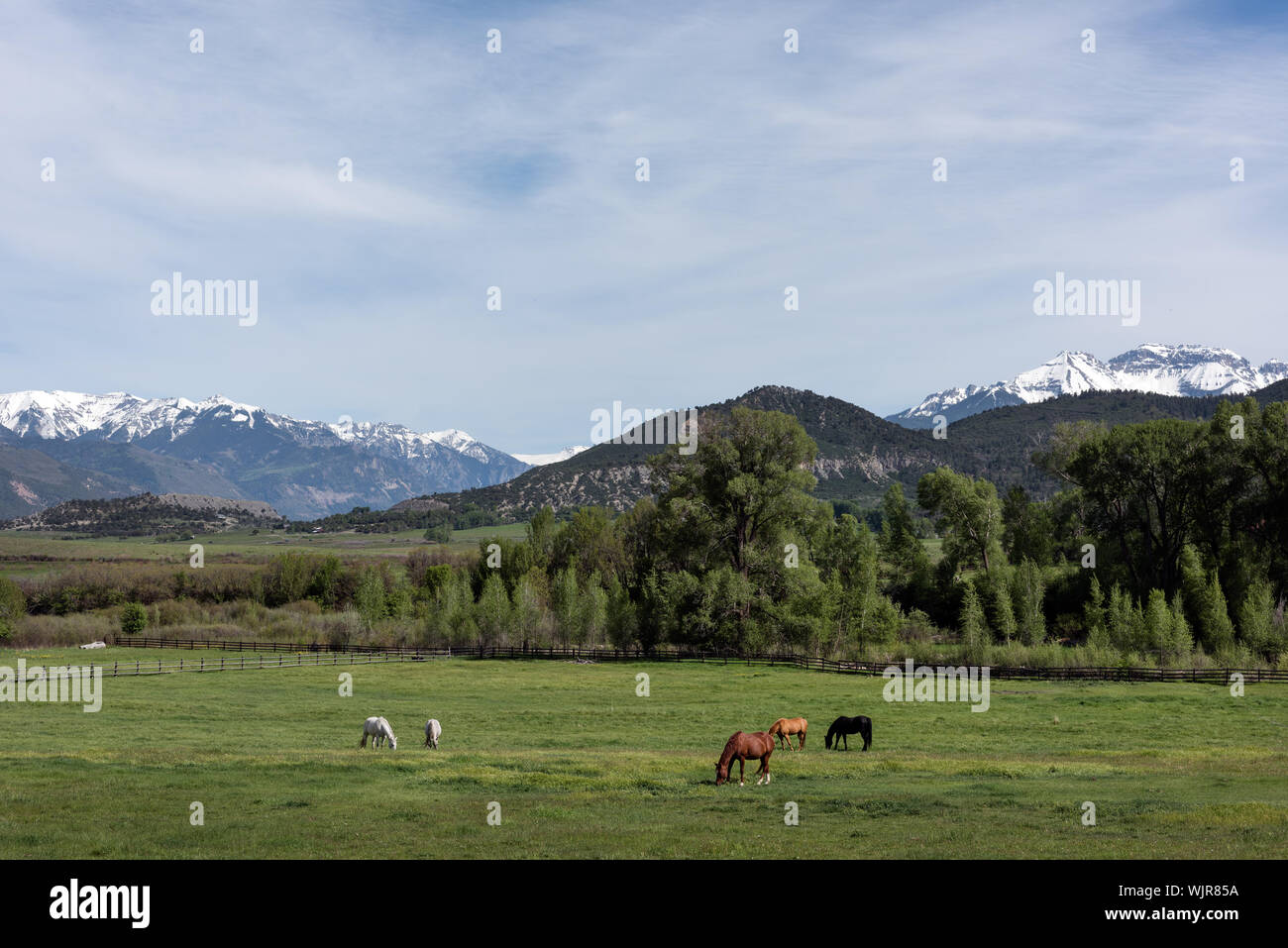 Beautiful horse ranches hi-res stock photography and images - Alamy