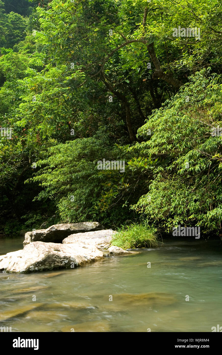 Here are beautiful trees and peaceful river Stock Photo - Alamy