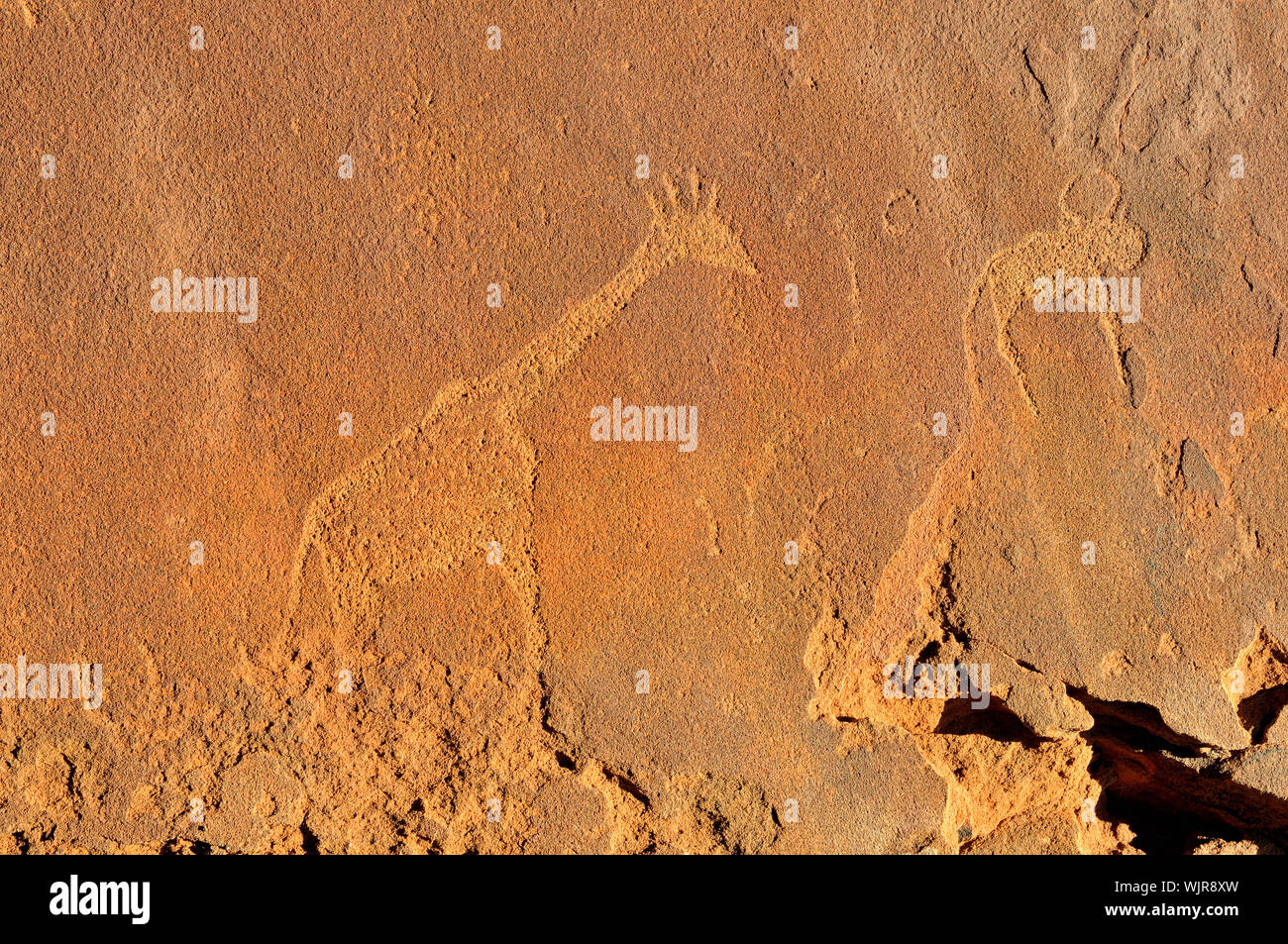 Rock engravings at Twyfelfontein, Namibia, a World Heritage site Stock ...