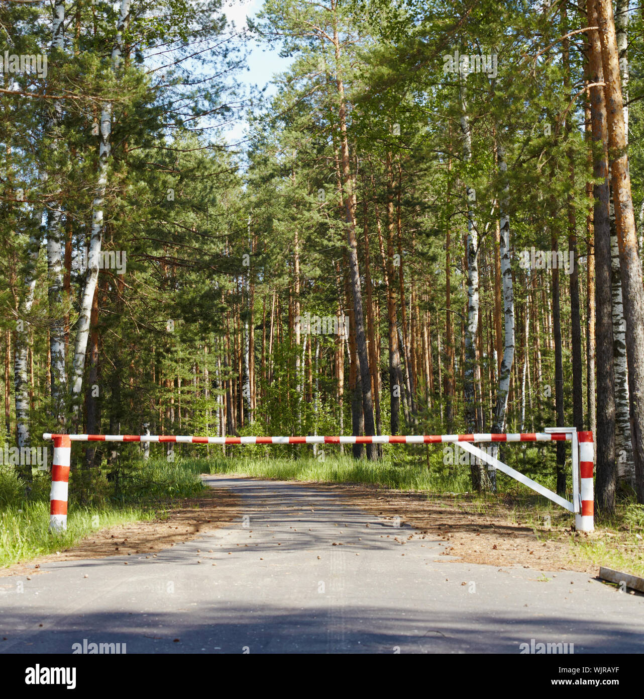 Wooden barrier blocking the road in the woods Stock Photo - Alamy