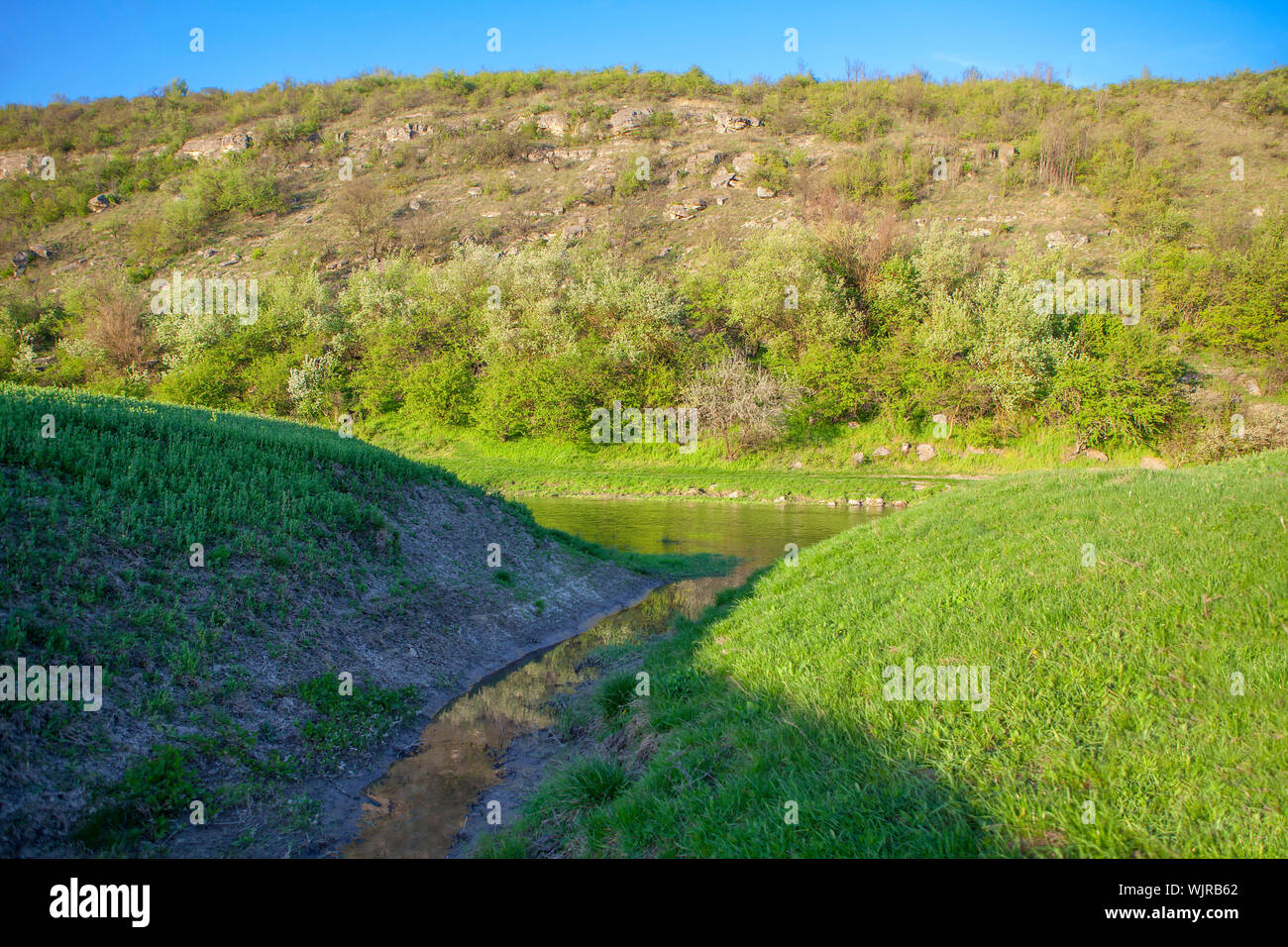 summer nature , little spring flows into the river Stock Photo - Alamy