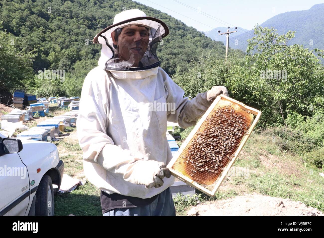 Standing beekeeper wearing white hi-res stock photography and images ...