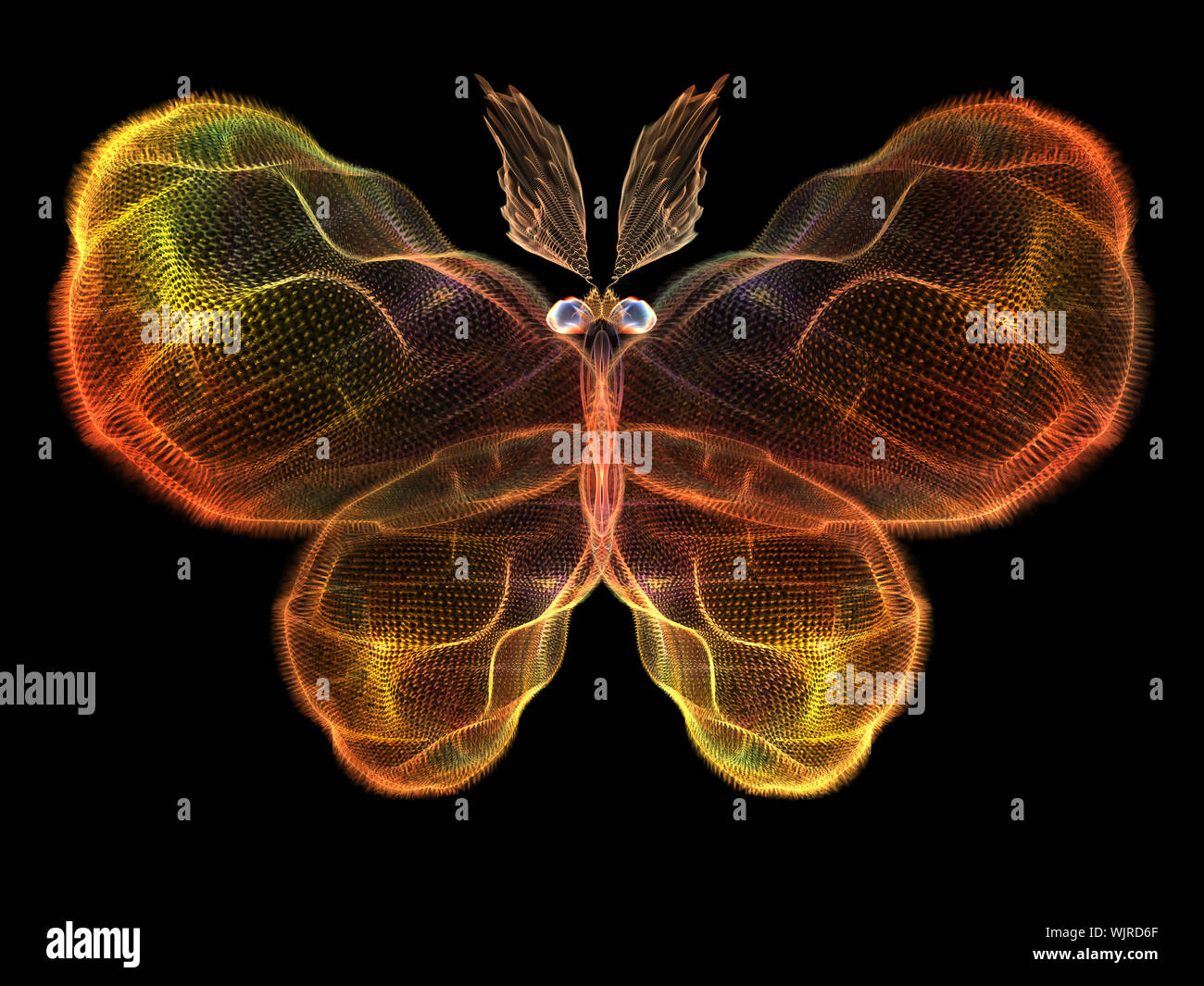 Never Were Butterflies series. Interplay of isolated butterfly patterns ...