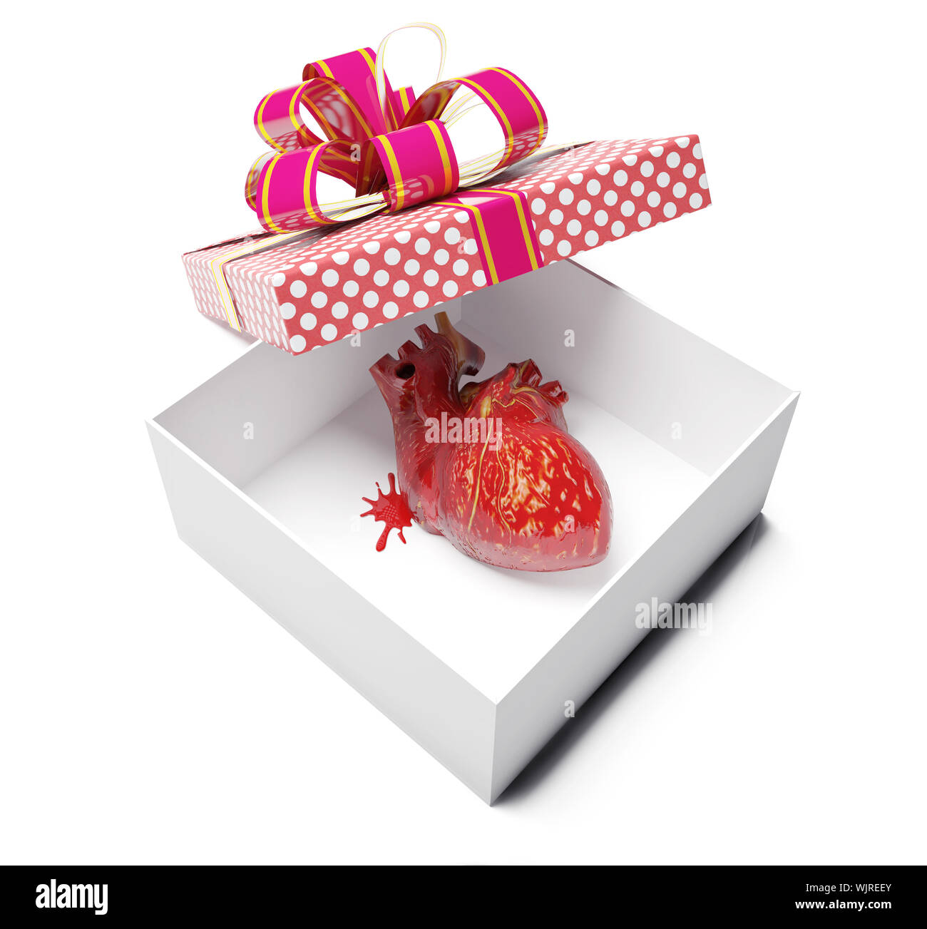 anatomical heart as a gift. creative concept Stock Photo - Alamy