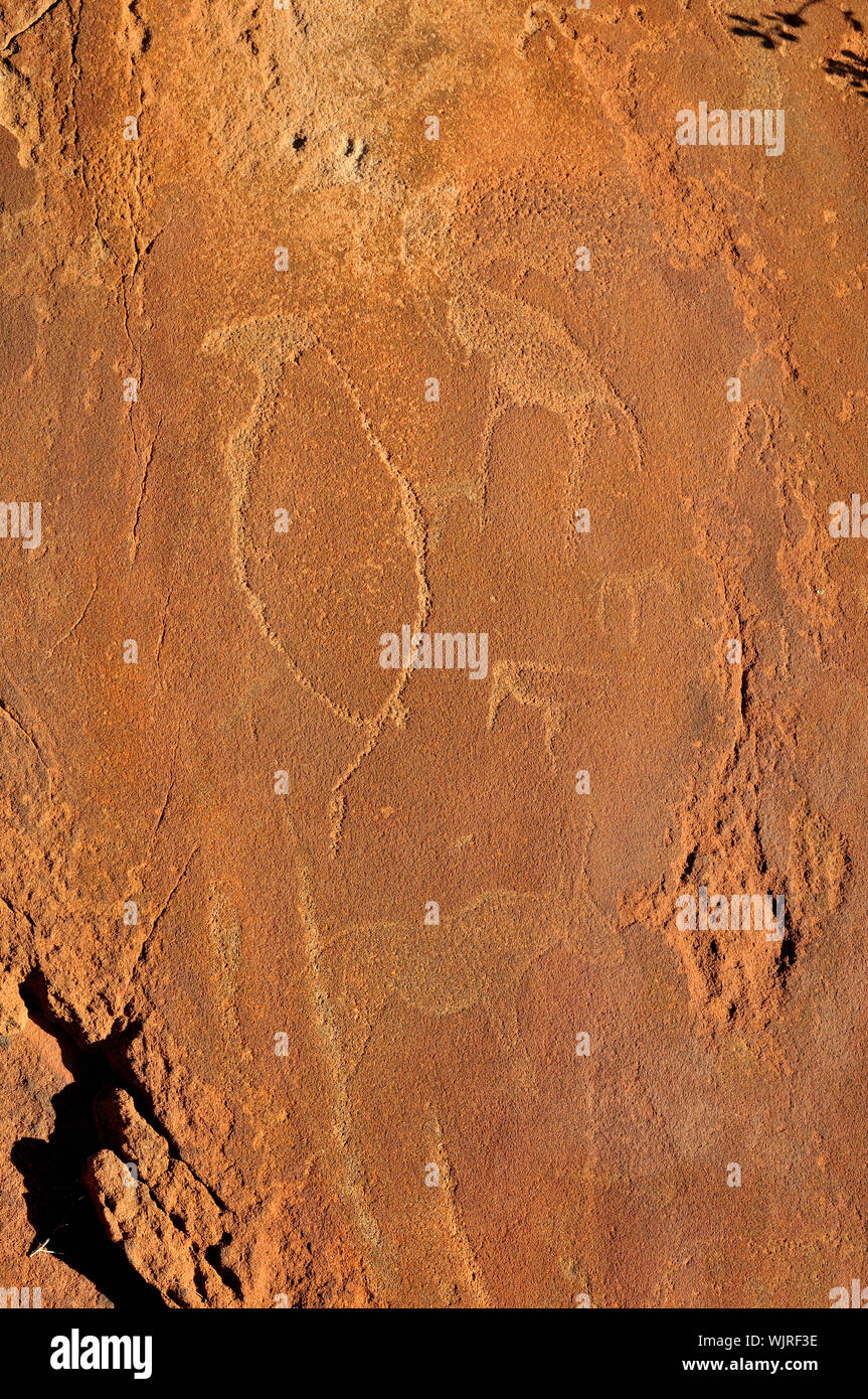Rock engravings at Twyfelfontein, Namibia, a World Heritage site Stock ...