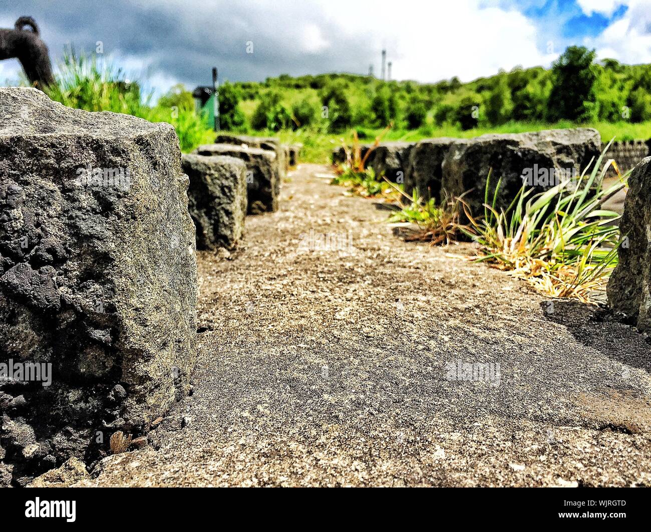 Sides view hi-res stock photography and images - Alamy