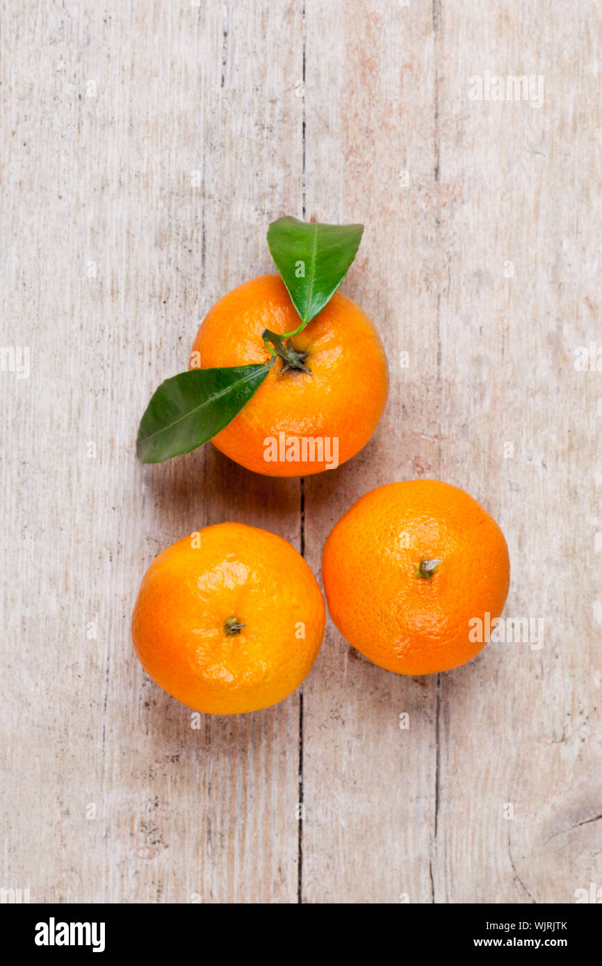 Three tangerines with leaves hi-res stock photography and images - Alamy