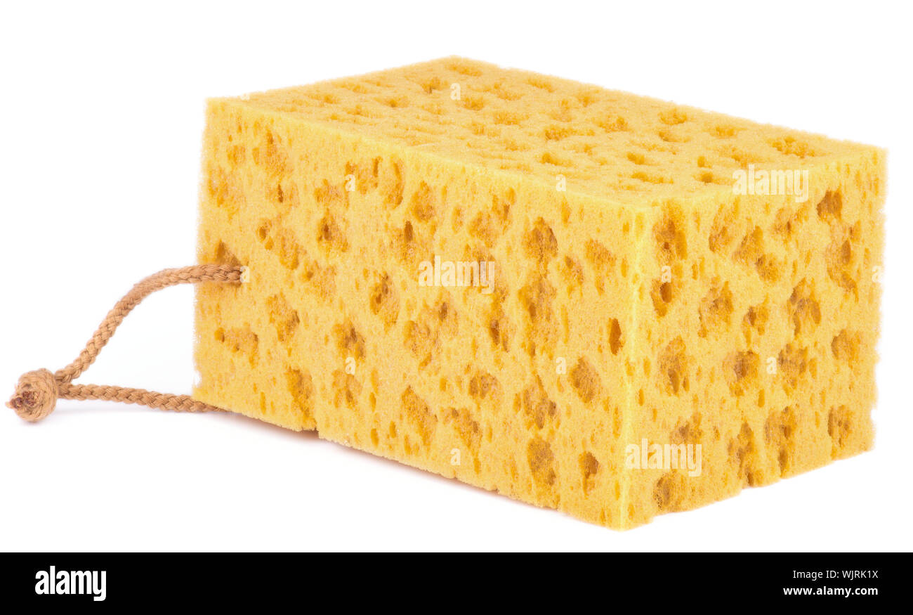 Big Yellow Porous Sponge isolated on white background Stock Photo - Alamy