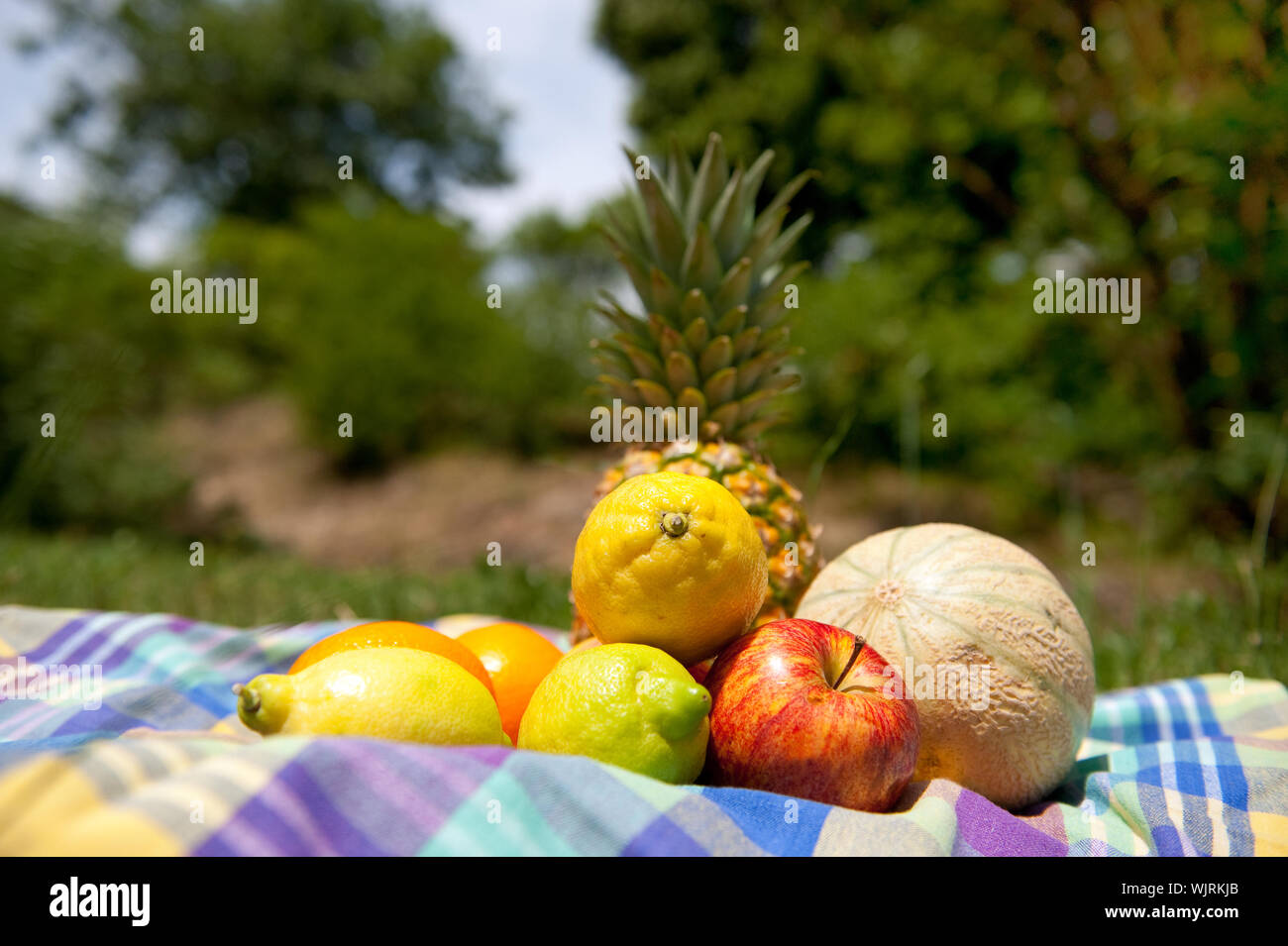 Still life with various summer fruit outdoor Stock Photo - Alamy