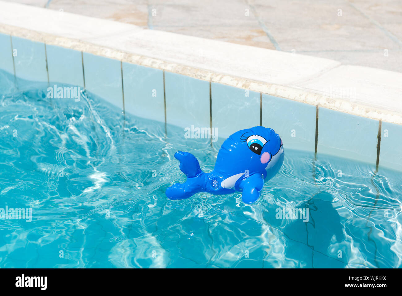 Floatable fish toy in the clear swimming pool Stock Photo - Alamy