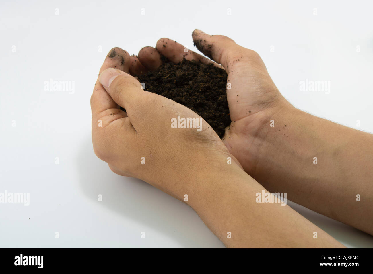 A handful of manure filmed in white background. Studio Shoot Stock ...