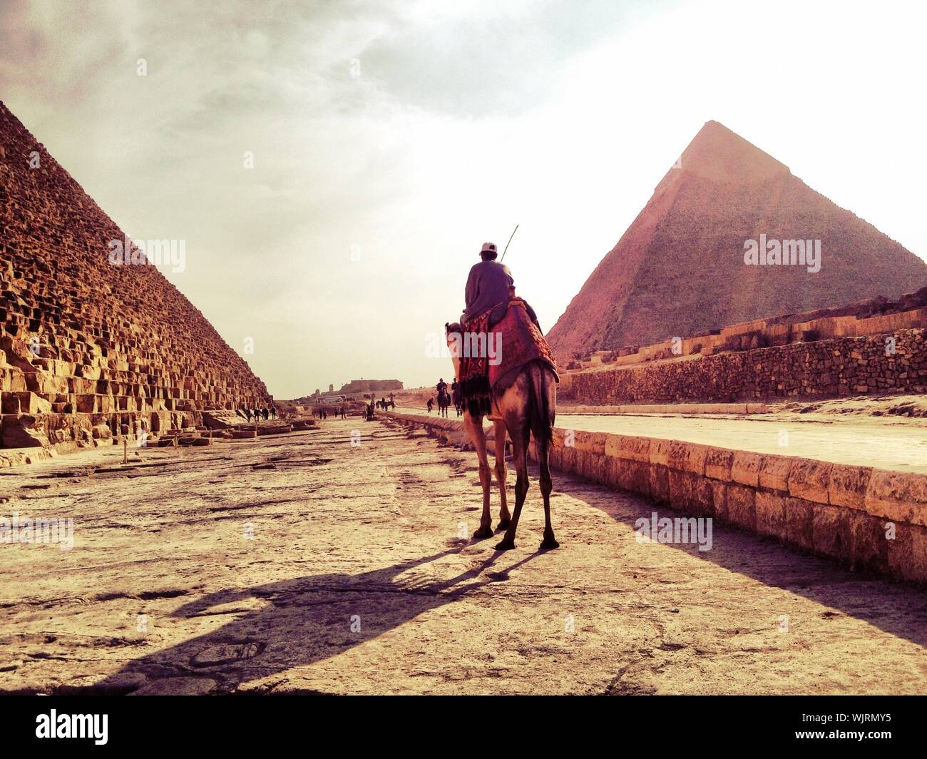 Camel riding at the pyramids hi-res stock photography and images - Alamy