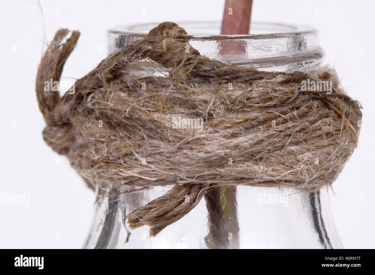 String bean seeds hi-res stock photography and images - Alamy