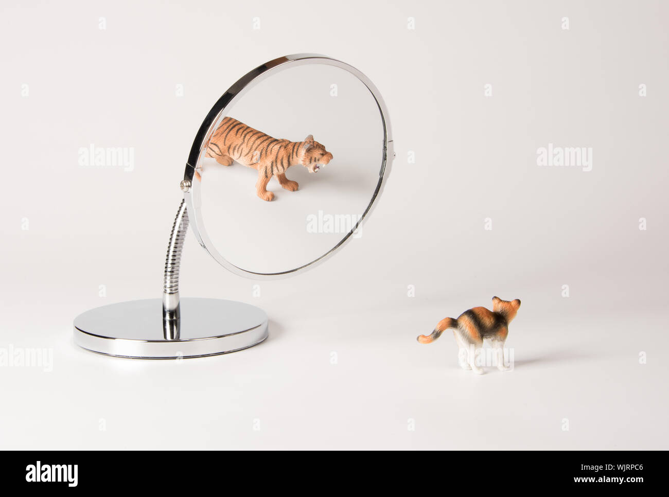Scale illusion hi-res stock photography and images - Alamy