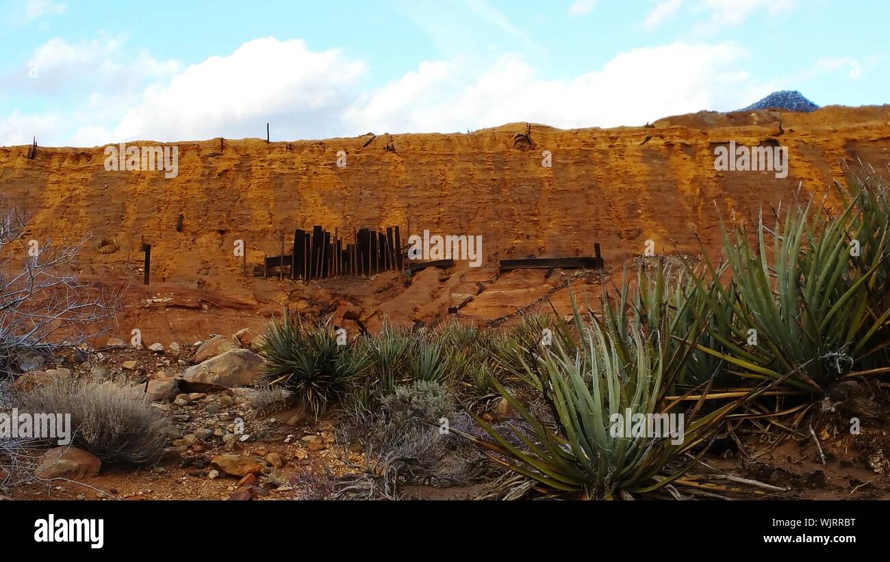 Semi Arid Landscape Stock Photos & Semi Arid Landscape Stock Images - Alamy