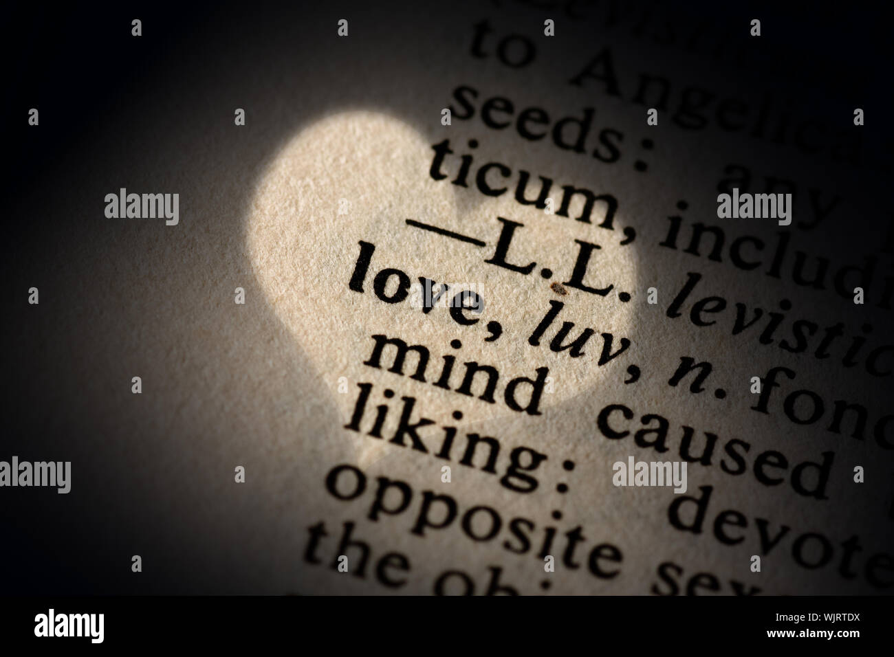 Spot light on word hi-res stock photography and images - Alamy