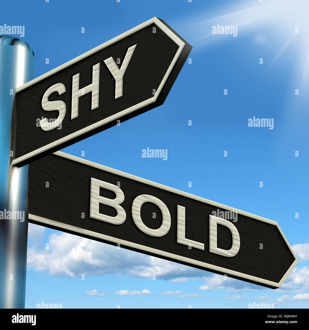Shy Bold Signpost Meaning Introvert Or Extrovert Stock Photo - Alamy Shy Bold Signpost Meaning Introvert Or Extrovert Stock Photo - Alamy