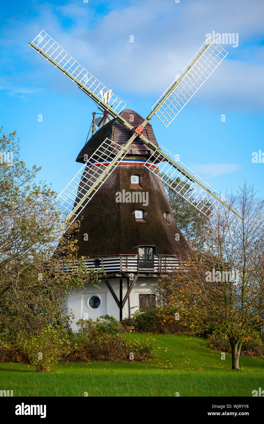 Traditional wooden windmill in a lush garden with four sails or blades ...
