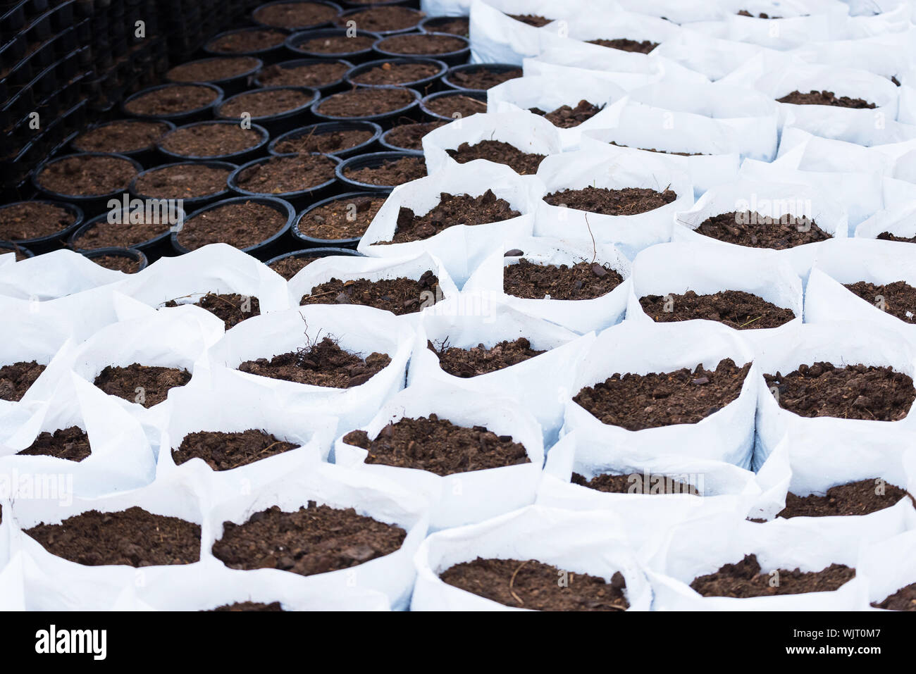 Soil in bags hi-res stock photography and images - Alamy