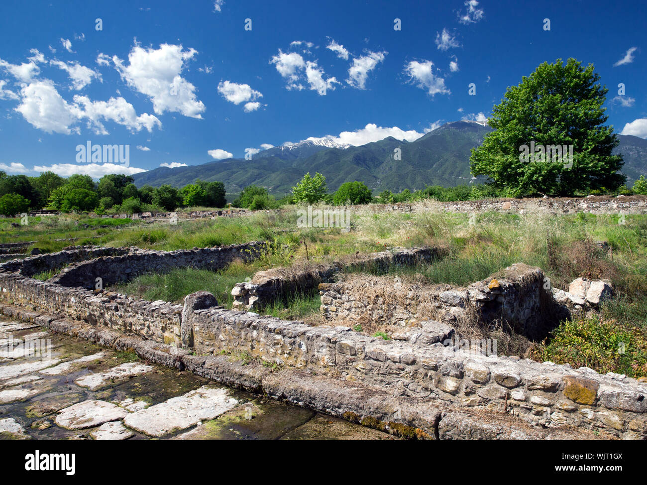 Ancient ruins in Dion, Greece Stock Photo - Alamy