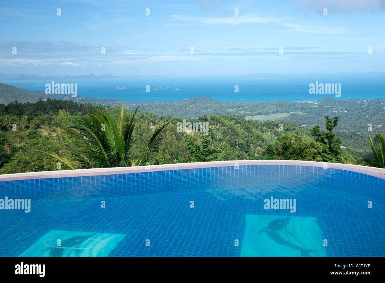 tropical swimming pool with coconut tree Stock Photo - Alamy