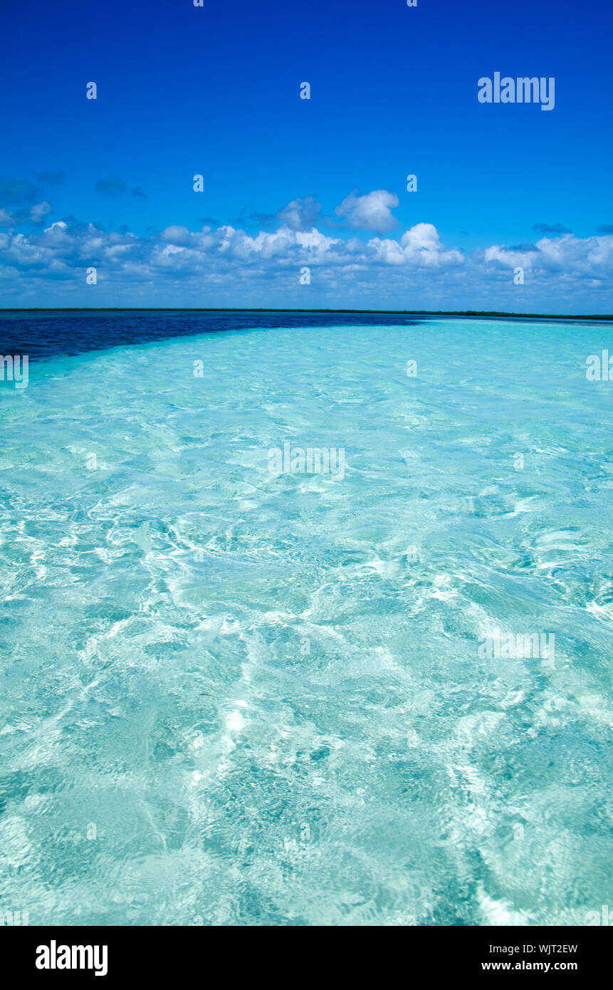 Caribbean clear beach and tropical sea Stock Photo - Alamy