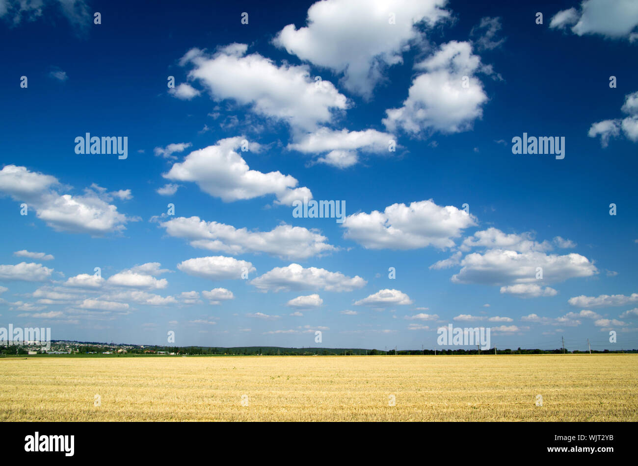 field and the beautiful blue sky Stock Photo - Alamy