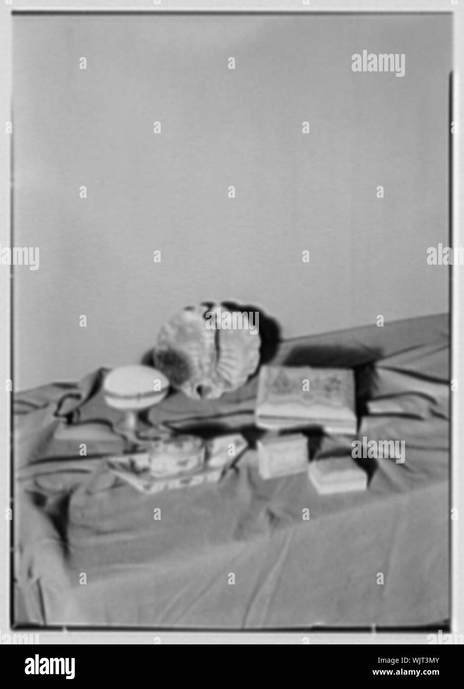 View garden window Black and White Stock Photos & Images - Alamy