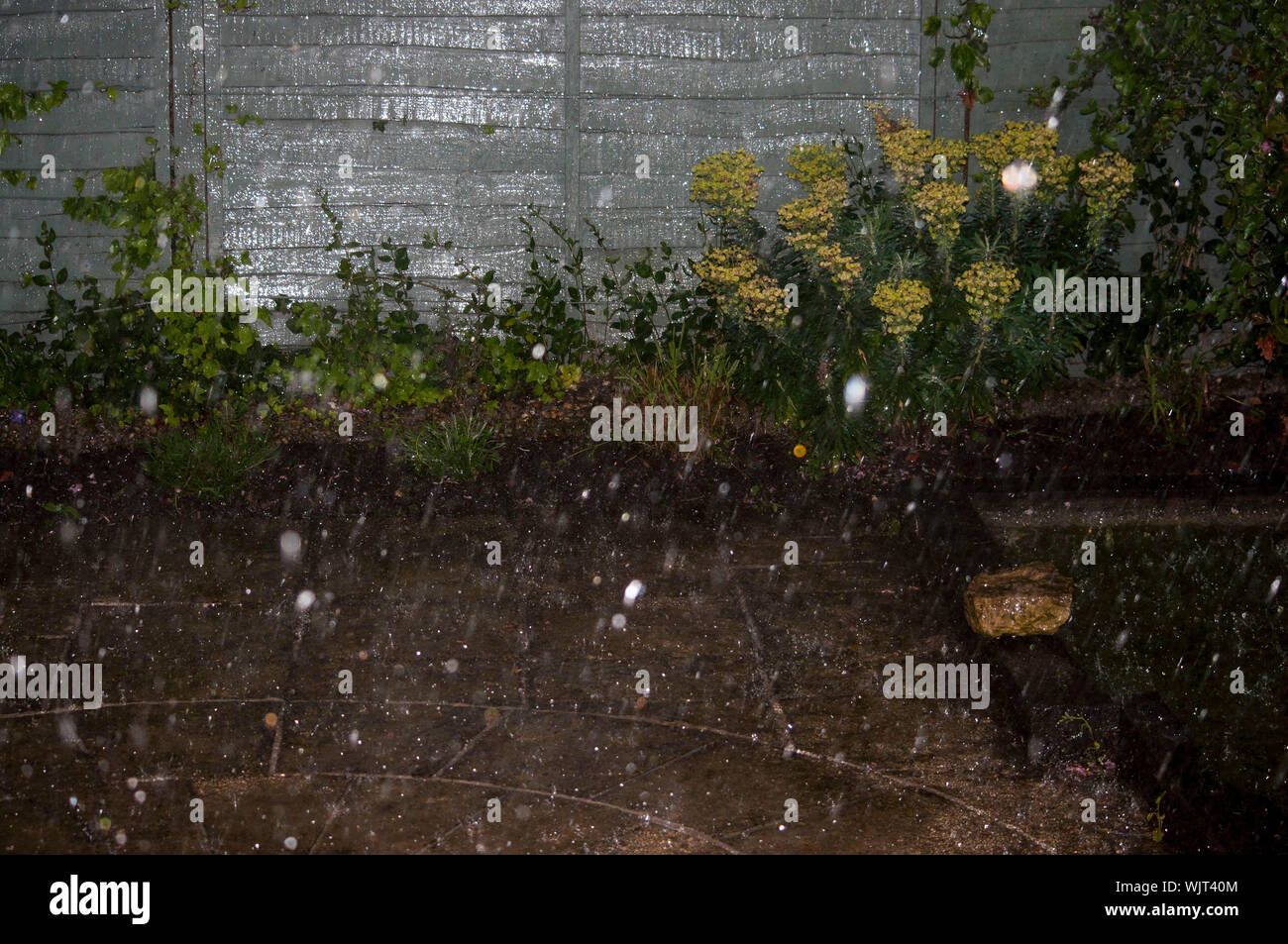 Yard rain hi-res stock photography and images - Alamy