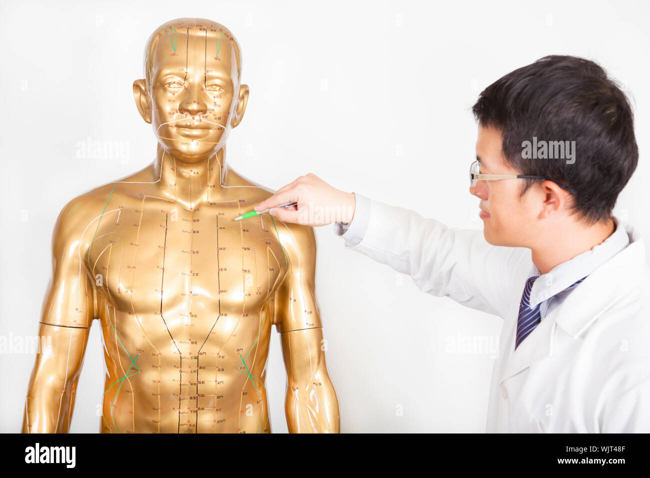 Acupuncture model human body hi-res stock photography and images - Alamy