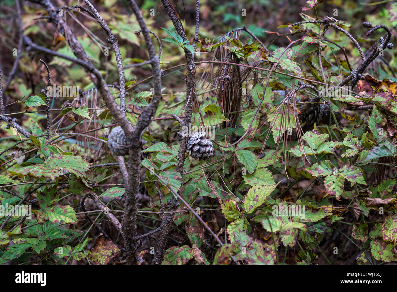 Freehold, new jersey hi-res stock photography and images - Alamy