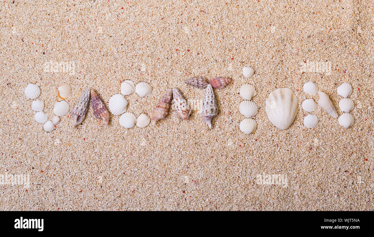 Title "vacation" from sea shells with coral sand as background Stock ...