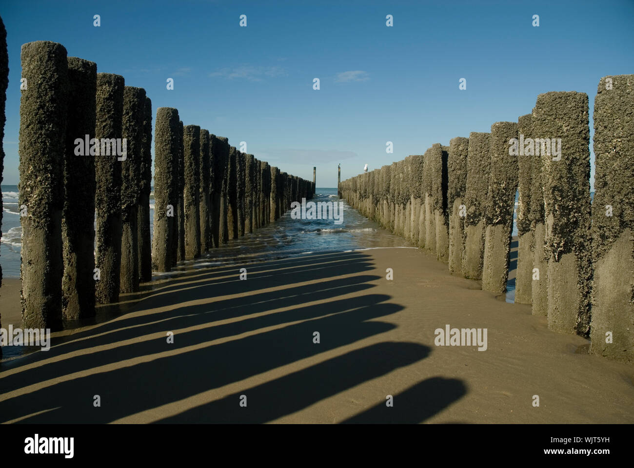 Wooden poles beach break hi-res stock photography and images - Alamy
