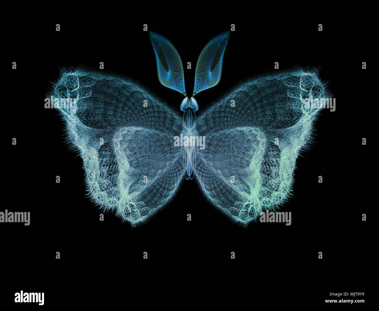 Never Were Butterflies series. Background design of isolated butterfly ...