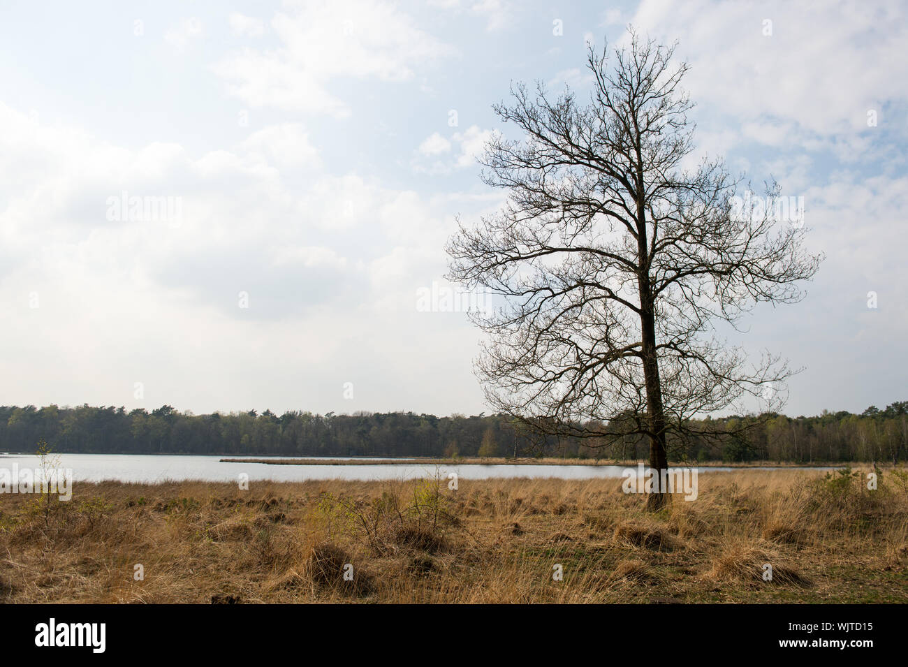 Leersumse veld hi-res stock photography and images - Alamy