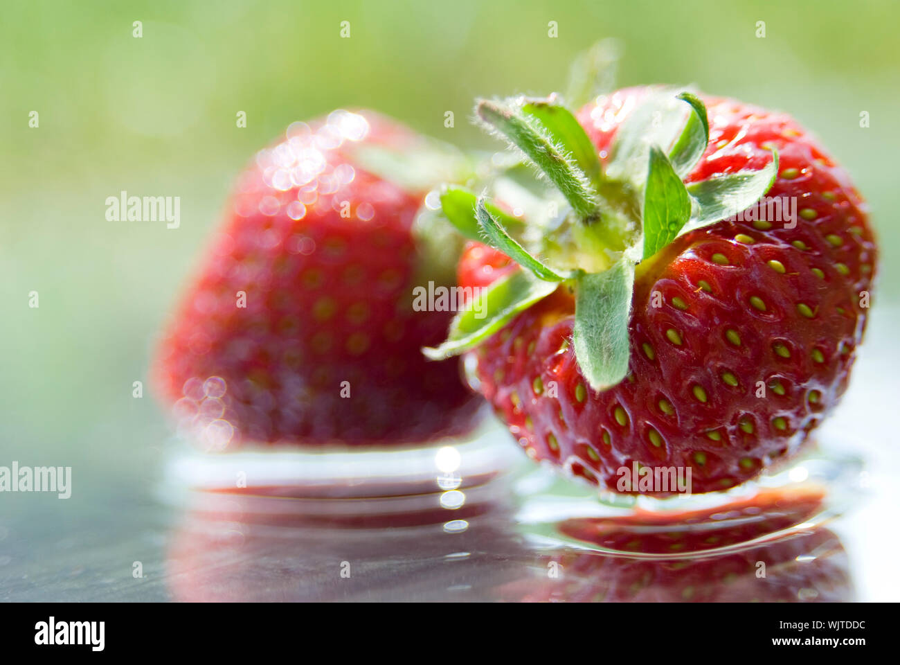 Gourmet plant hi-res stock photography and images - Alamy