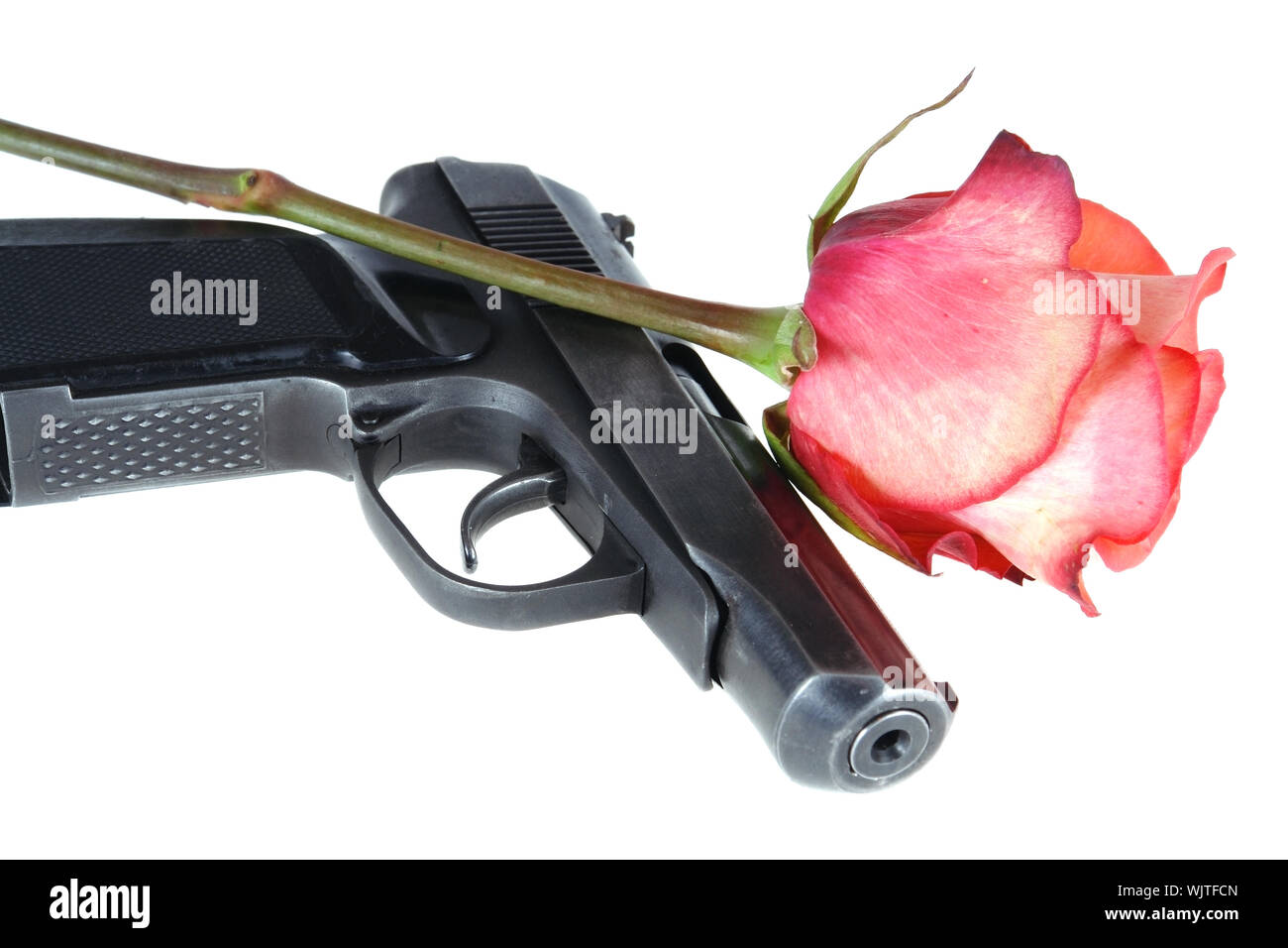 gun and rose isolated on white background Stock Photo - Alamy