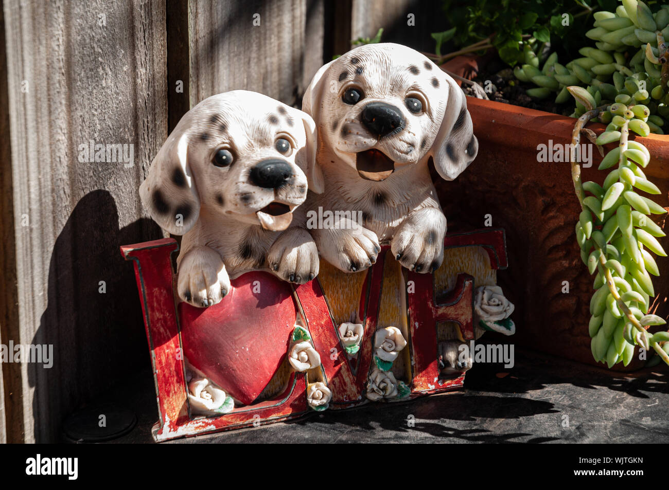 Dalmations hi-res stock photography and images - Alamy